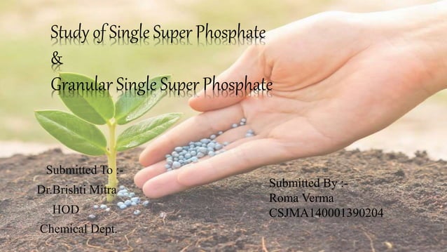 Single super phosphate | PPTX