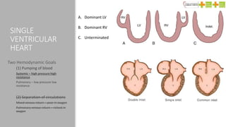 Single ventricle palliation | PPTX | Heart and Cardiovascular Diseases ...