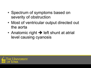 Single Ventricle Physiology | PPT
