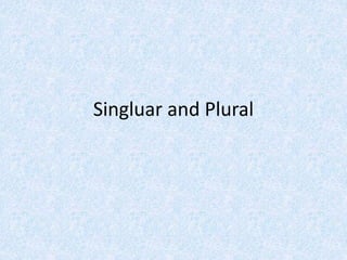 Singluar and Plural.pptx