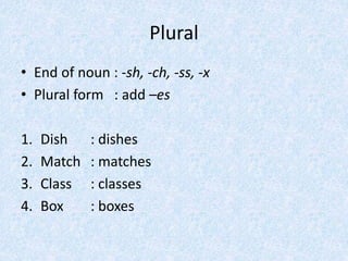 Singluar and Plural.pptx