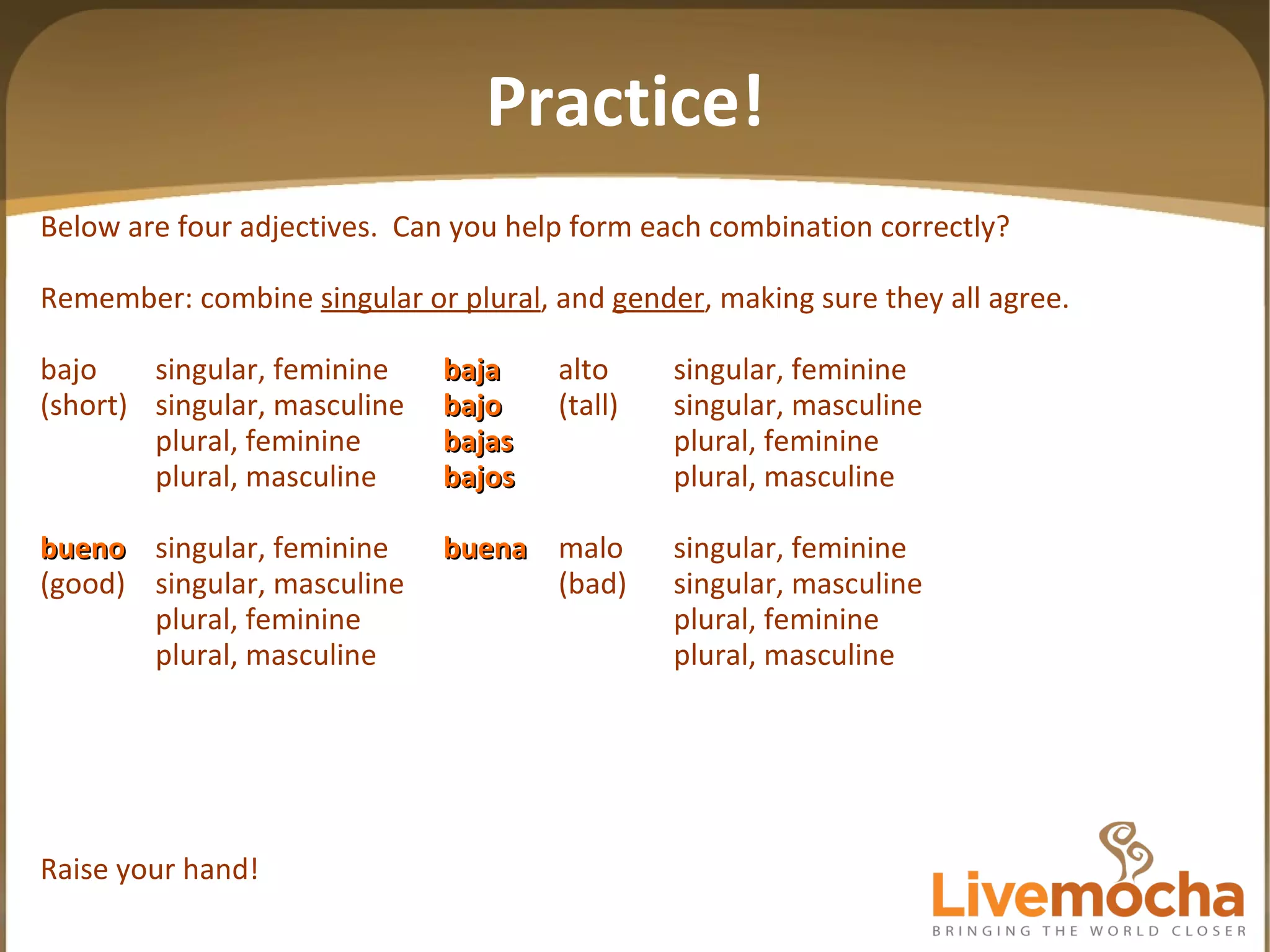 03 - Spanish Singular and Plural from Livemocha.com