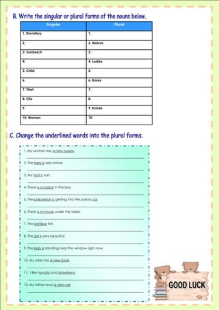Singular and plural | PDF