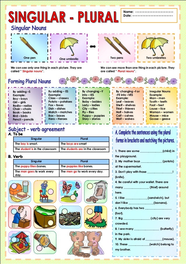 Singular And Plural singular-and-plural