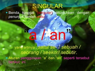 Singular and plural | PPTX