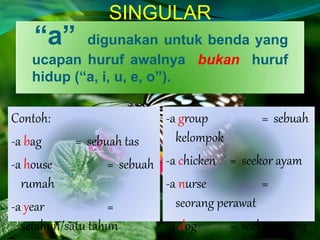 Singular and plural | PPTX