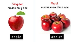 Singular and Plural Nouns & Rules on Changing Singular Nouns to Plural ...