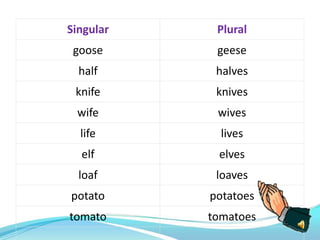 Singular and plural noun | PPTX