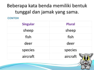 Singular and plural noun | PPTX