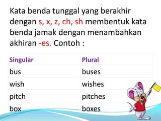 Singular and plural noun | PPTX