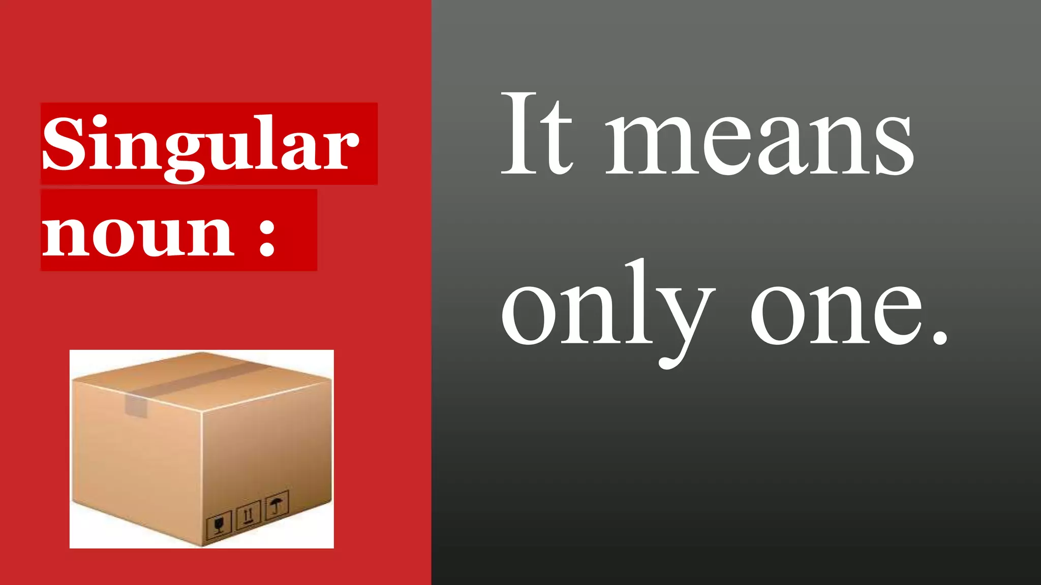 Singular and plural noun | PPTX