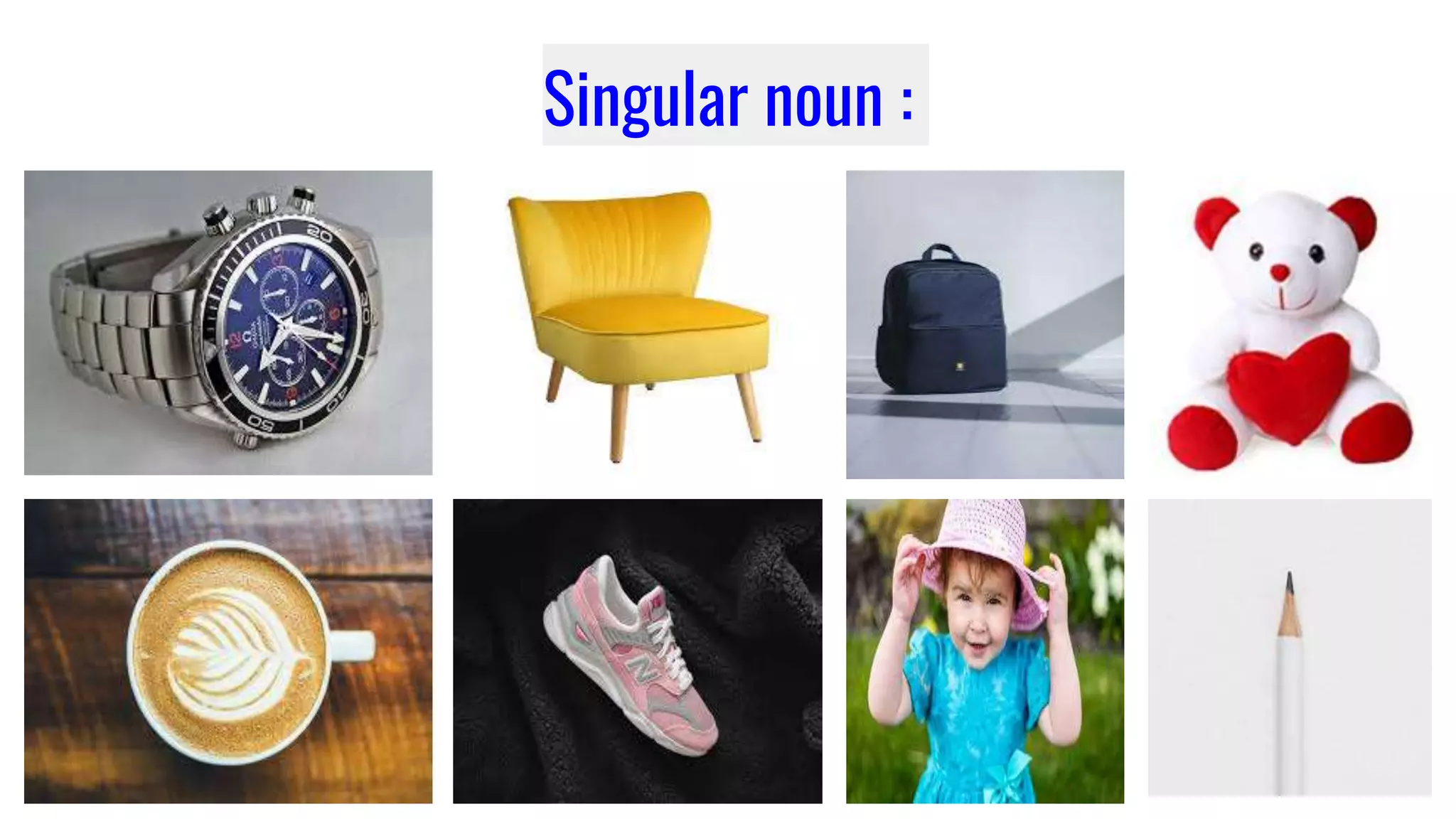 Singular and plural noun | PPTX