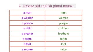 Singular and plural noun | PPTX