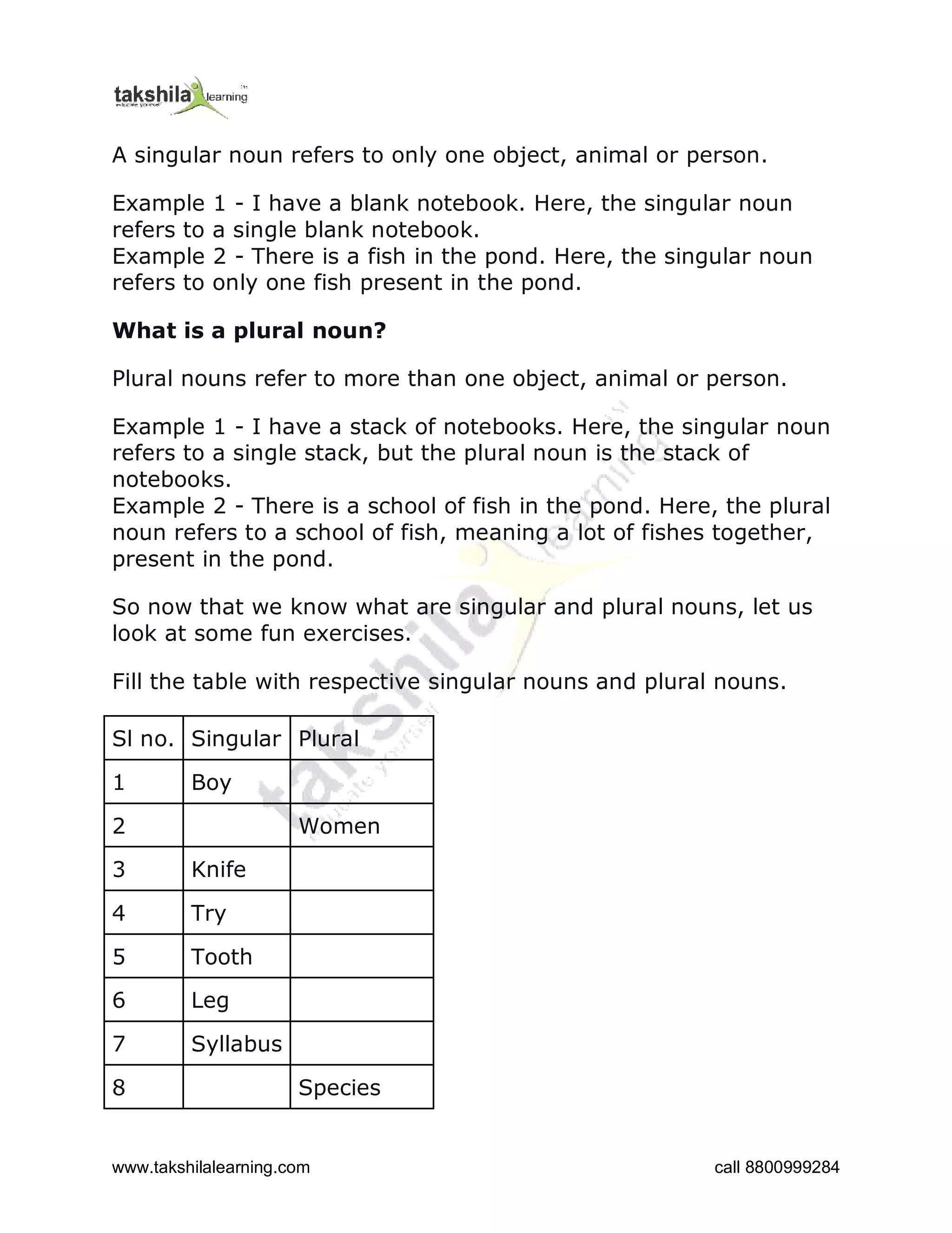 Singular and plural noun class 3 worksheet | PDF