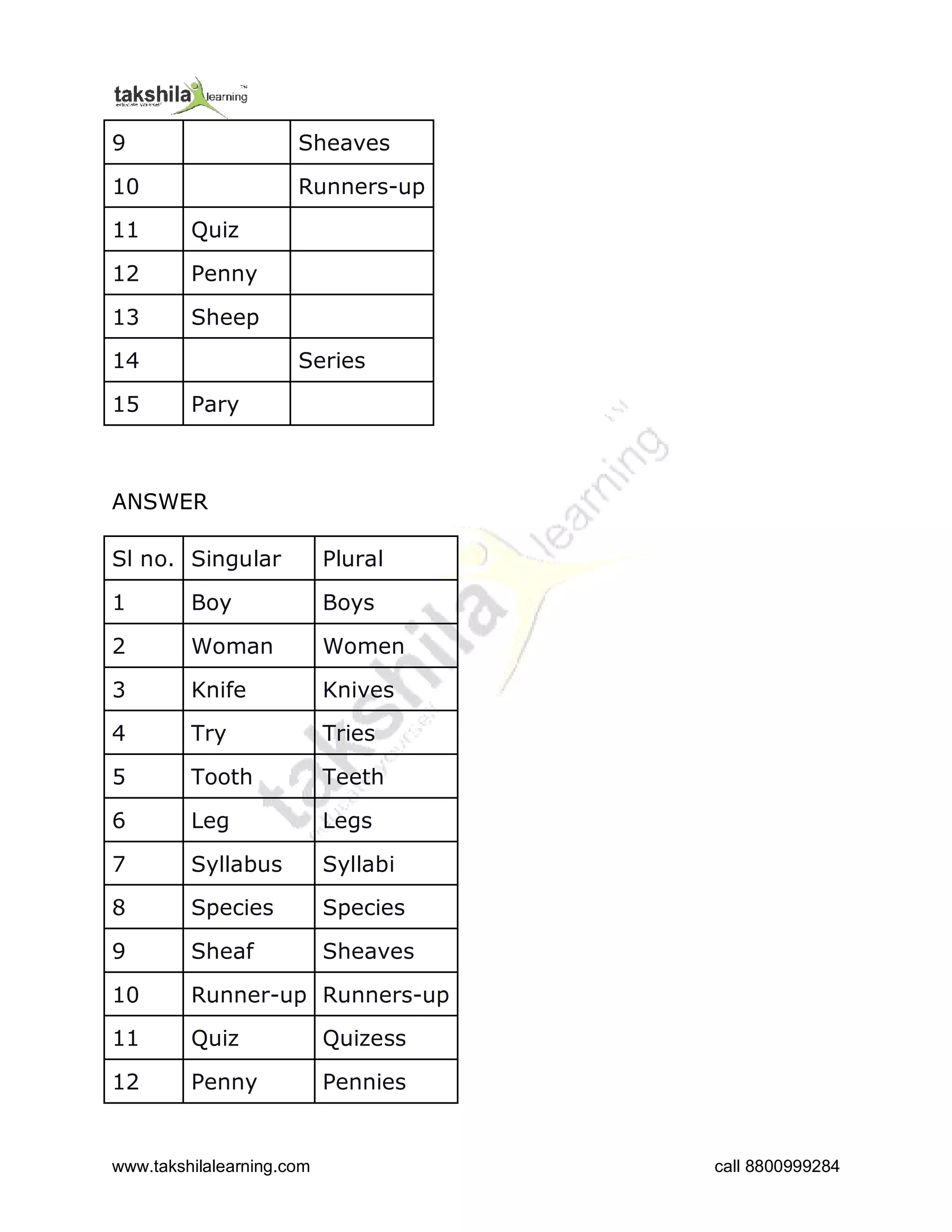 Singular and plural noun class 3 worksheet | PDF