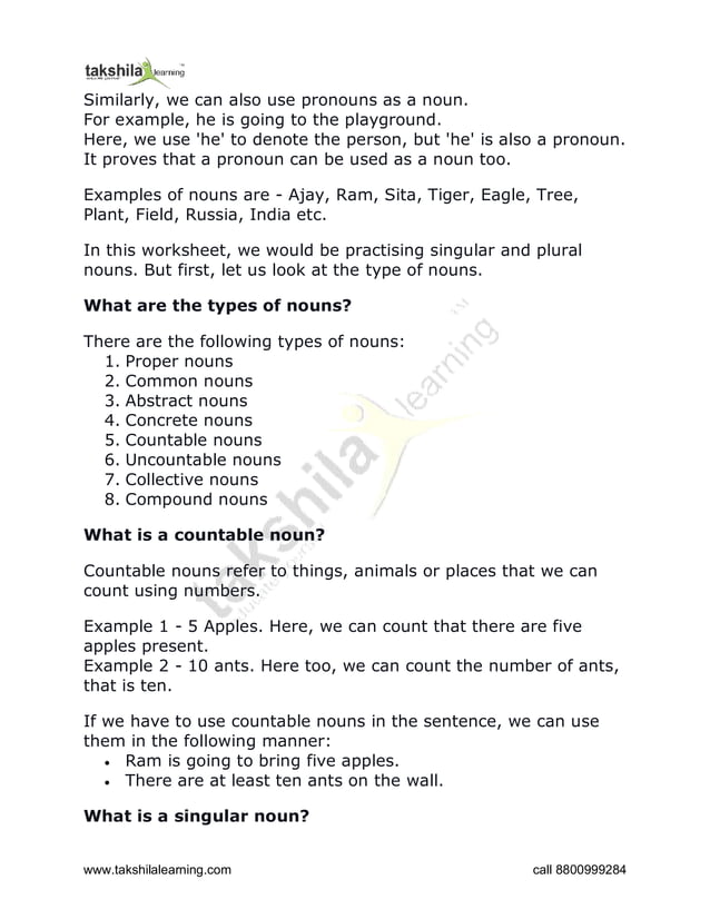Singular and plural noun class 3 worksheet | PDF