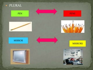 Singular and plural nouns by silvia carrera | PPTX