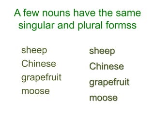 Singular and Plural nouns- Unit 2 | PPT