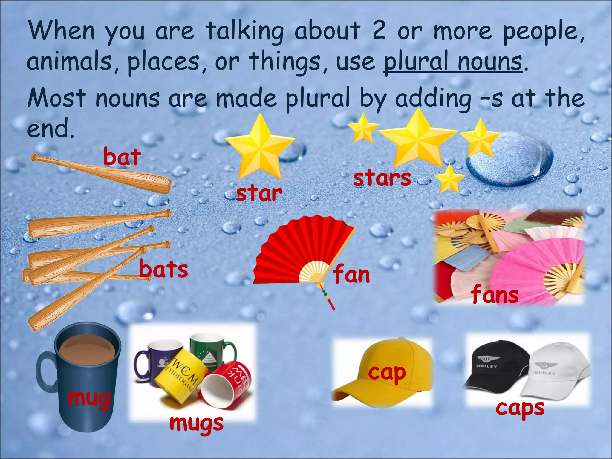 Singular and Plural Nouns | PPT