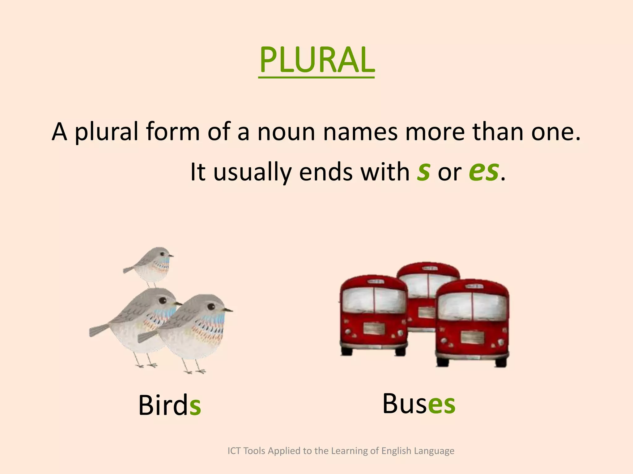 Singular and plural nouns | PPTX