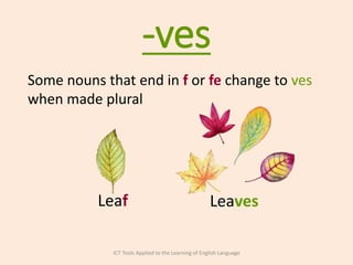 Singular and plural nouns | PPTX