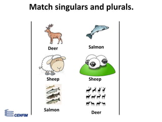 Singular and plural_nouns | PPT