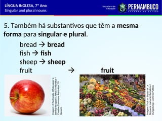 Singular and plural nouns English Presentation.ppt