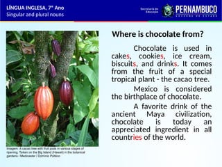 Singular and plural nouns English Presentation.ppt