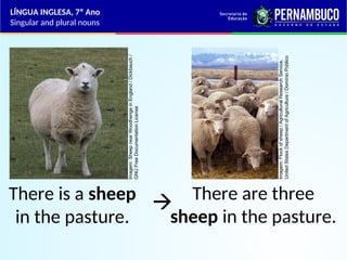 Singular and plural nouns English Presentation.ppt
