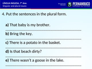 Singular and plural nouns English Presentation.ppt