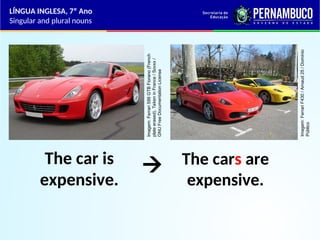 Singular and plural nouns English Presentation.ppt