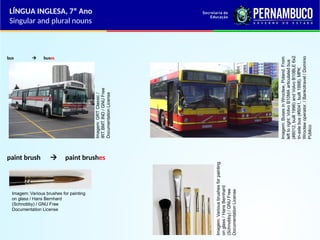 Singular and plural nouns English Presentation.ppt