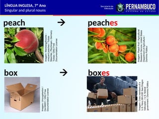Singular and plural nouns English Presentation.ppt