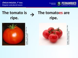 Singular and plural nouns English Presentation.ppt