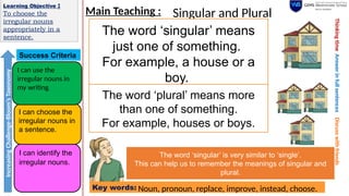 singular nknknknnknkkand plural nouns.pptx