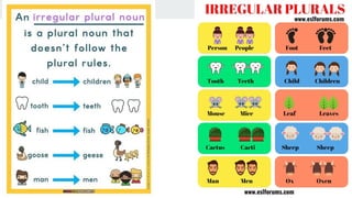 Singular and Plural Nouns for Beginner.pdf