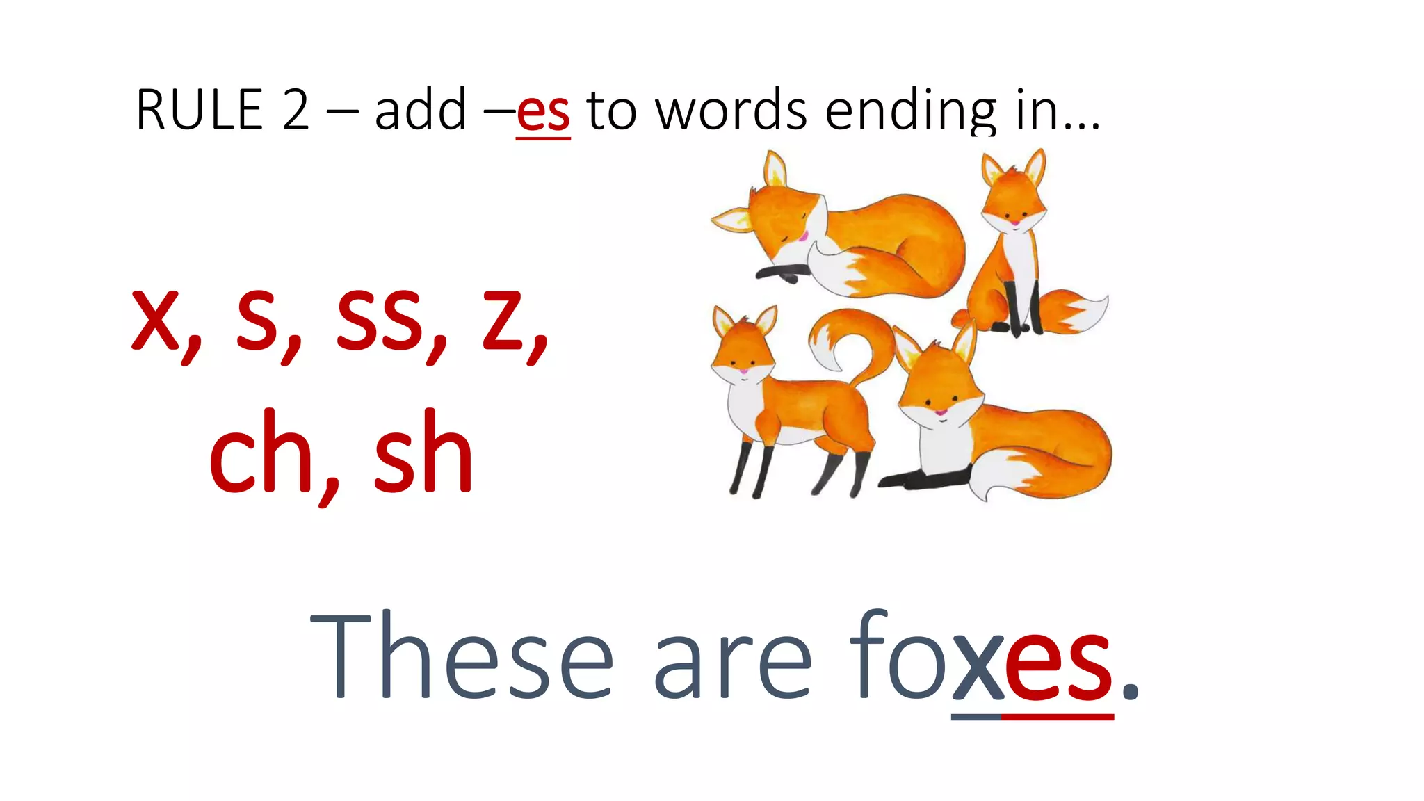 Singular and plural nouns grade 1 by cbr | PPTX
