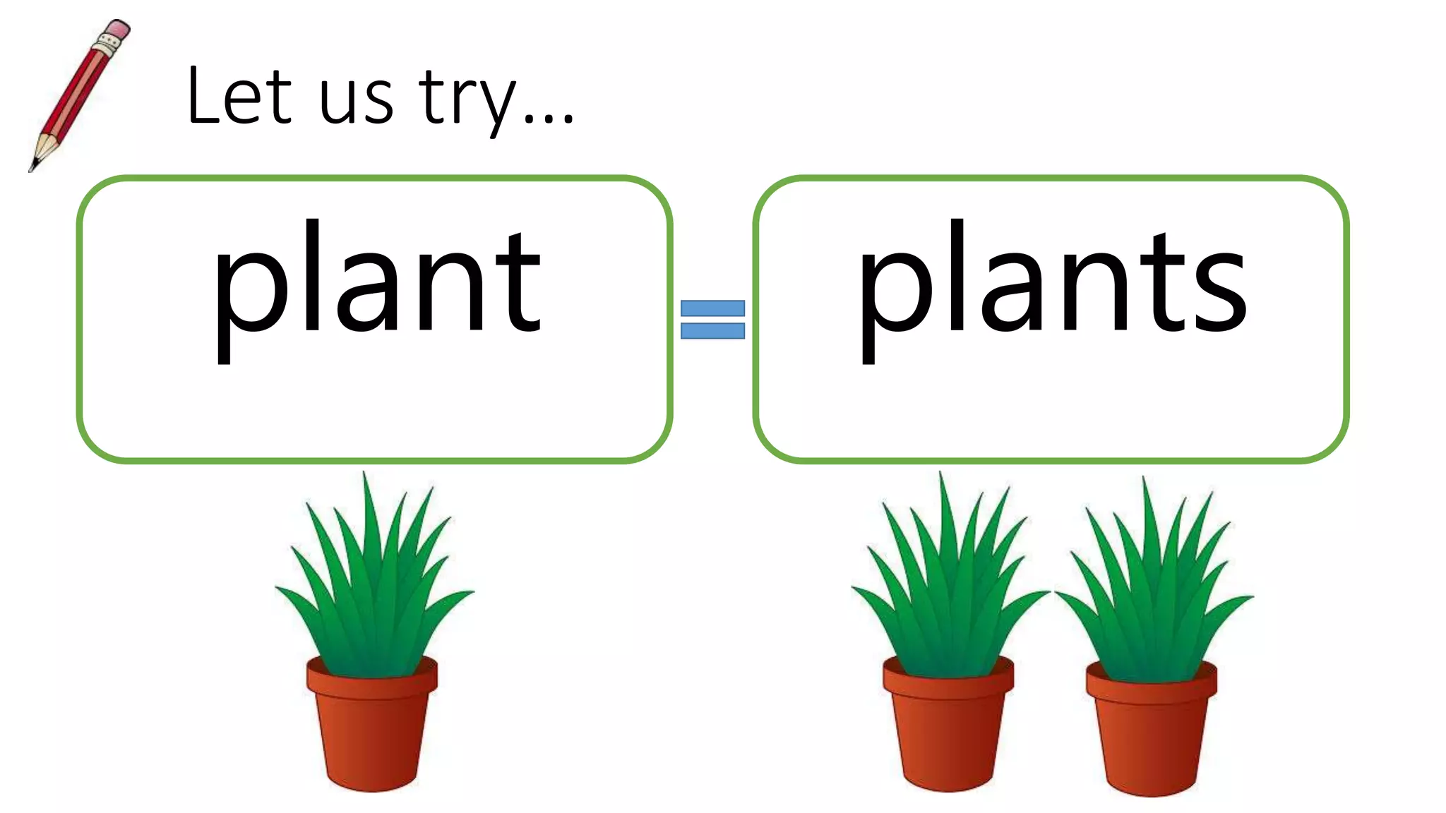 Singular and plural nouns grade 1 by cbr | PPTX