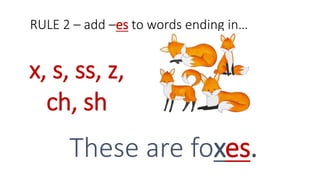Singular and plural nouns grade 1 by cbr | PPTX