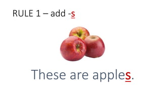 Singular and plural nouns grade 1 by cbr | PPTX