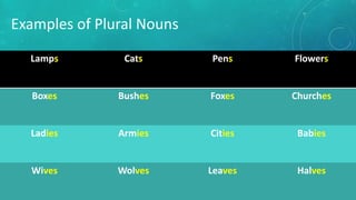 Singular & Plural | PPTX