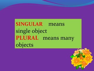 Singular plural | PPT