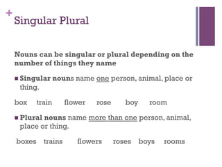 Singular plural | PDF