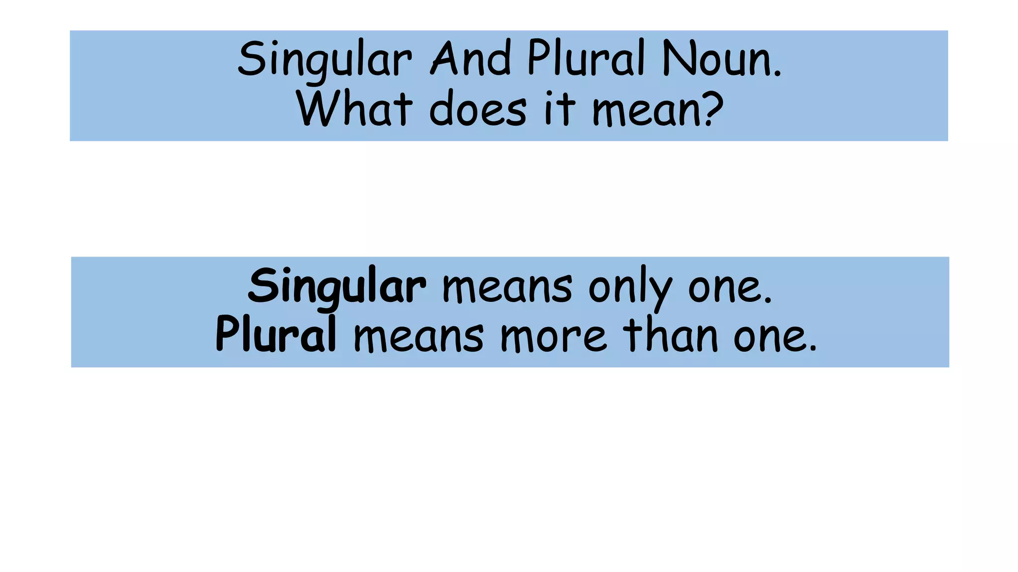 Singular Plural -DAY 1 edited.pptx