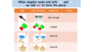 Singular Plural -DAY 1 edited.pptx