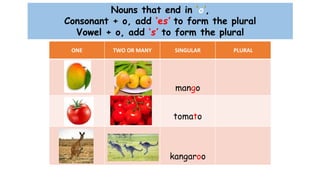 Singular Plural -DAY 1 edited.pptx