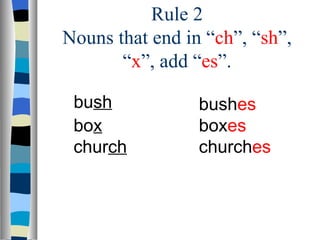 Lesson 7: Singular and Plural Nouns | PPT
