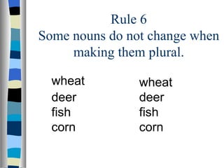 Lesson 7: Singular and Plural Nouns | PPT