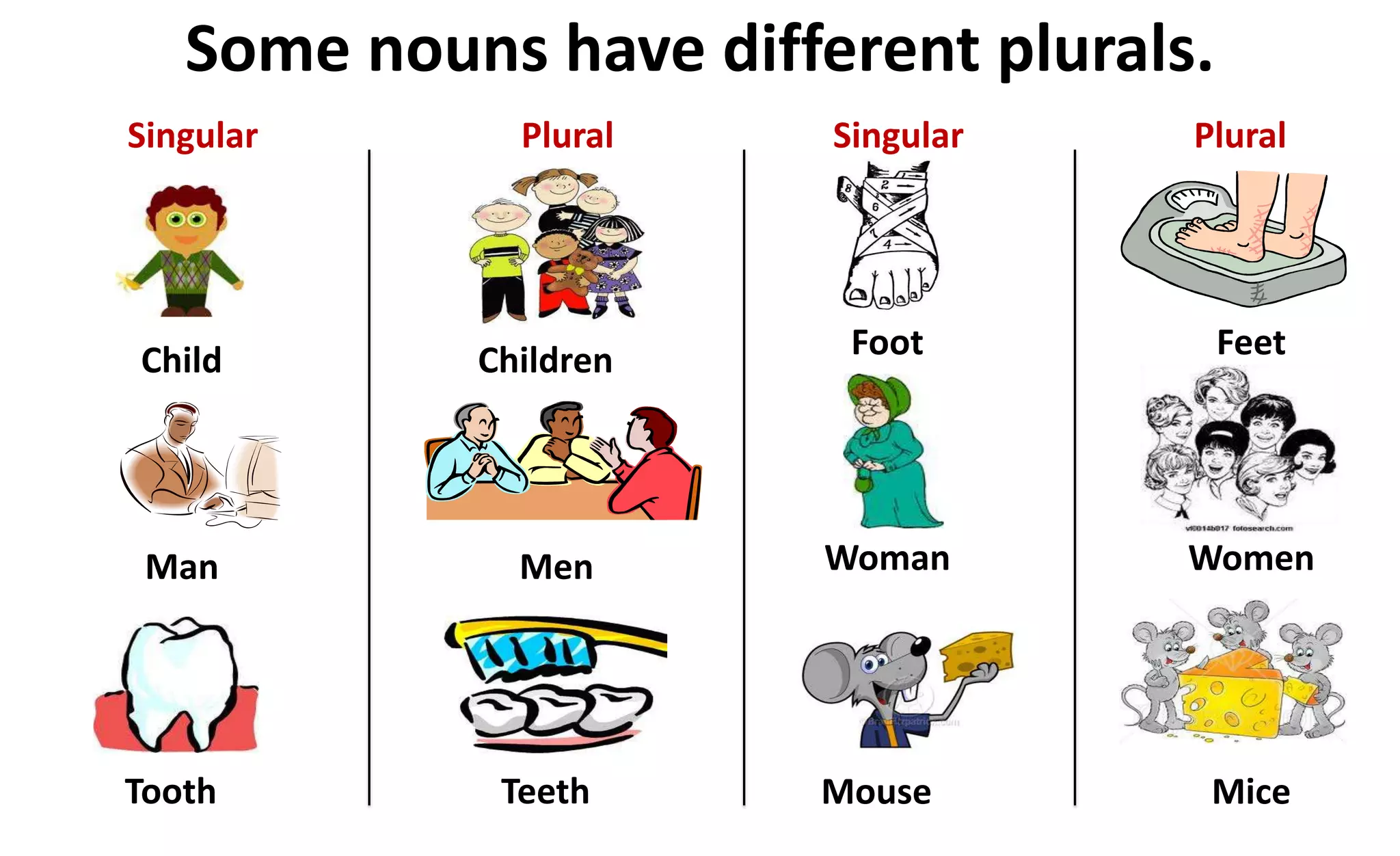 Singular plural nouns | PPT