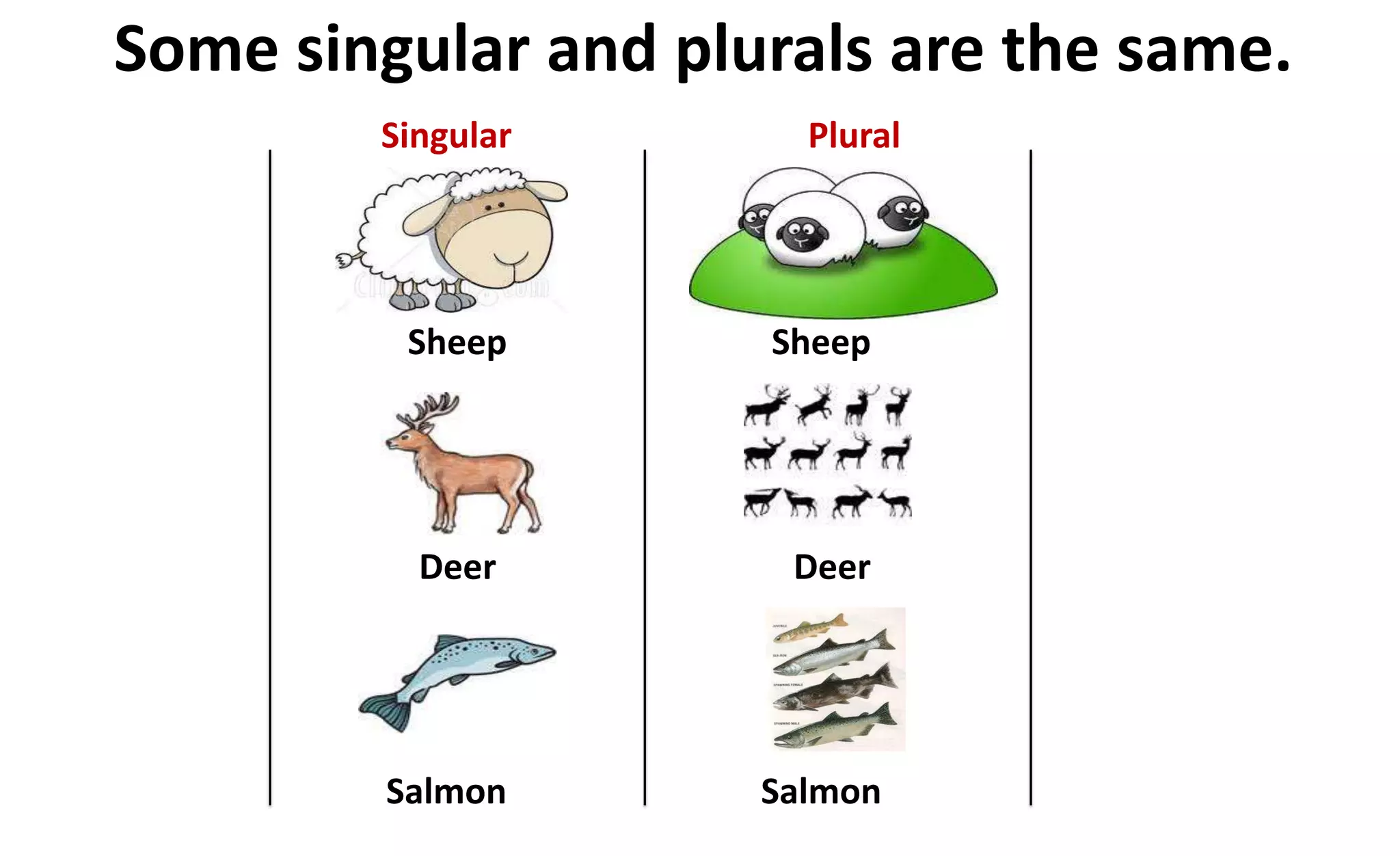 Singular plural nouns | PPT